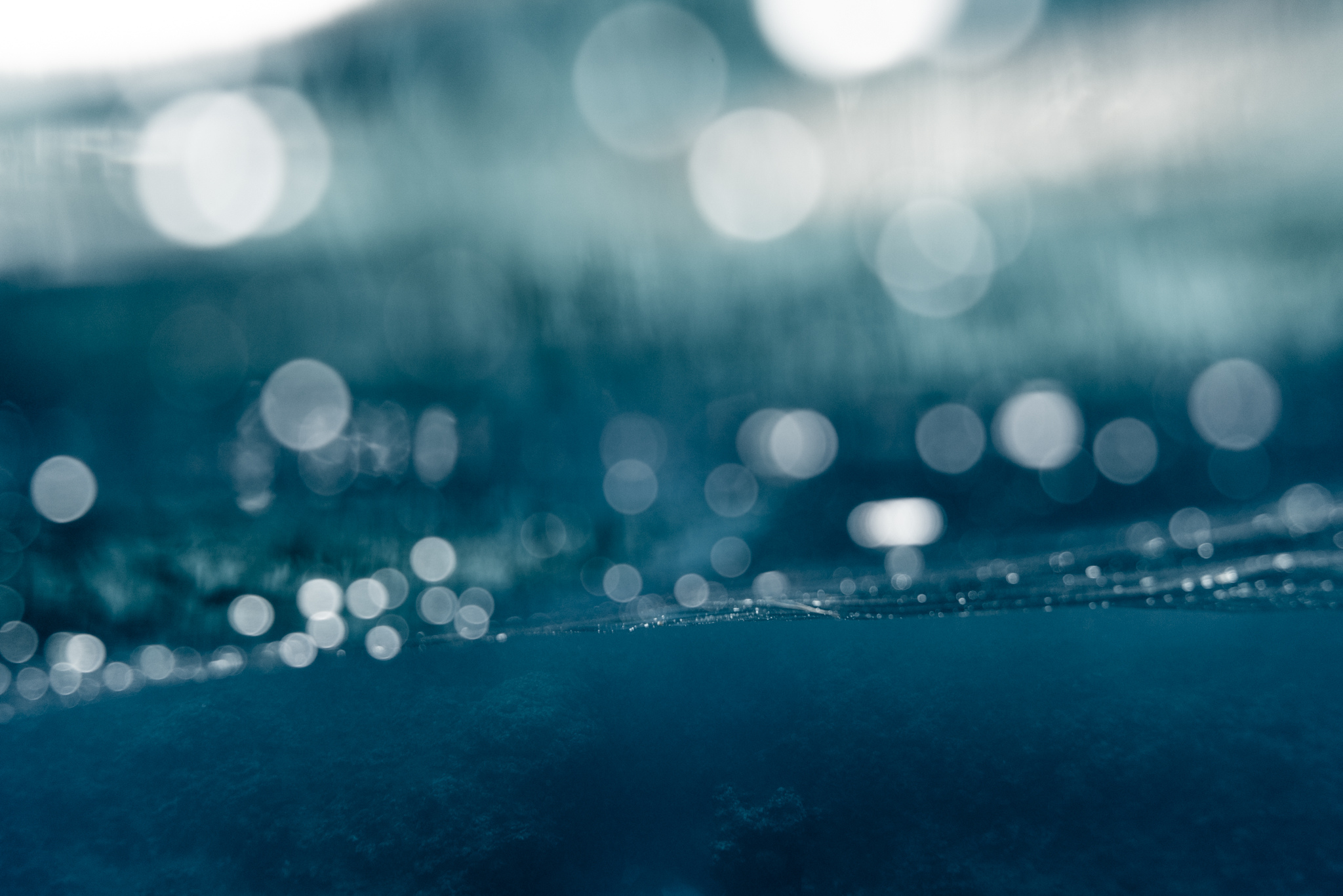 Beginner's Guide to Underwater Photography